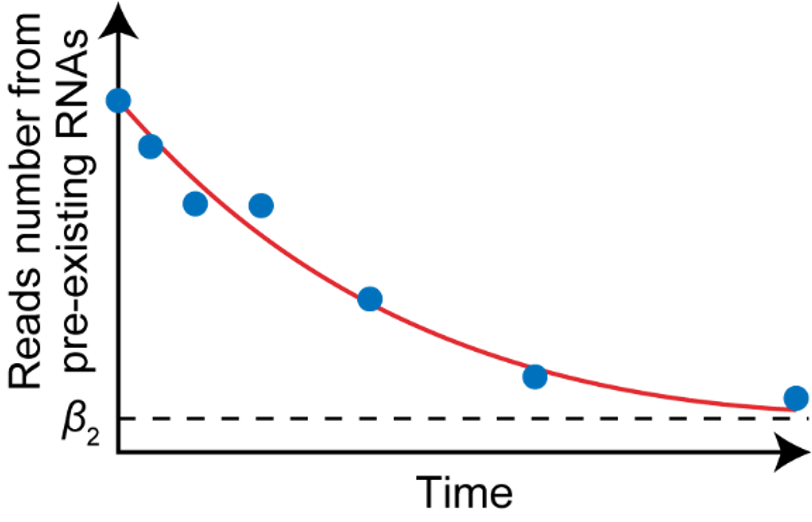 Dynamic reproductive lifespan: Life-long changes and fluctuations in ...