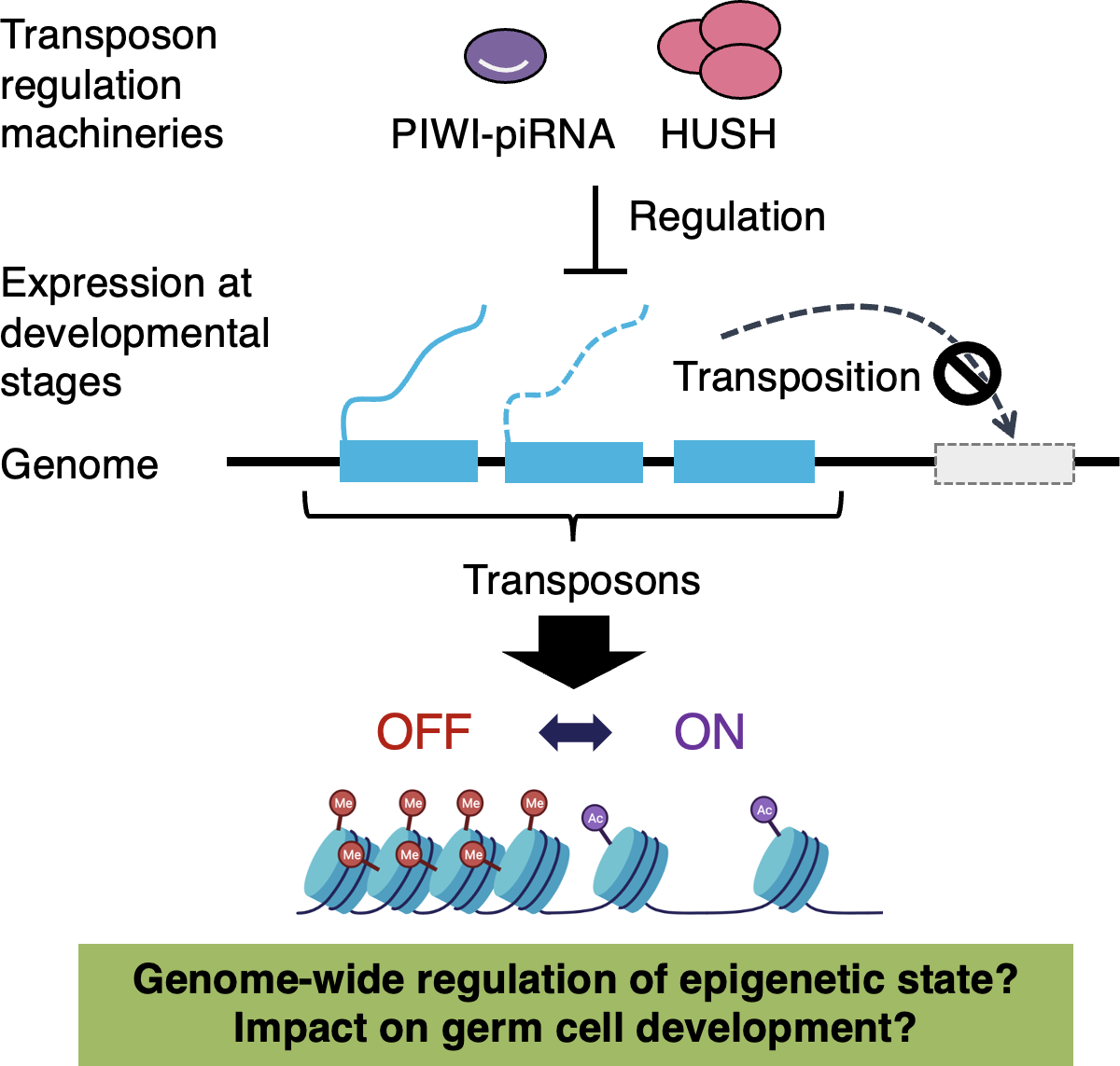 Publicly Offered Research＆Members (FY 2024–2025) – Dynamic reproductive ...